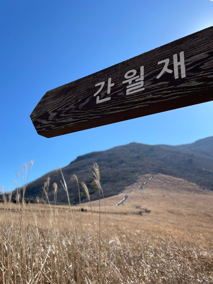 간월재 등린이 초보 코스 사슴농장 주차장 정보 겨울 산행 준비물 네이버 블로그