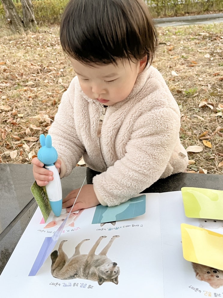 돌아기 전집 호기심 자극하는 블루래빗 자연관찰 전집 플랫북 궁금하면 들춰봐 누가 누구 네이버 블로그