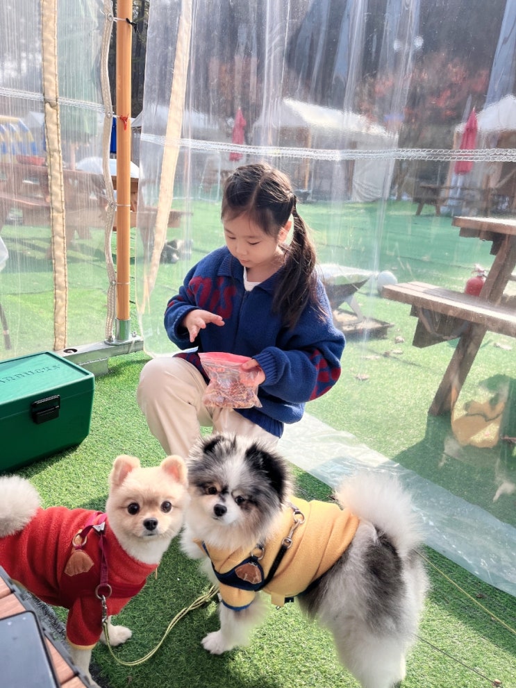 동두천 양주 인디언숲 캠프닉 2호점 당일치기 애견동반 글램핑 서울근교캠핑장 네이버 블로그