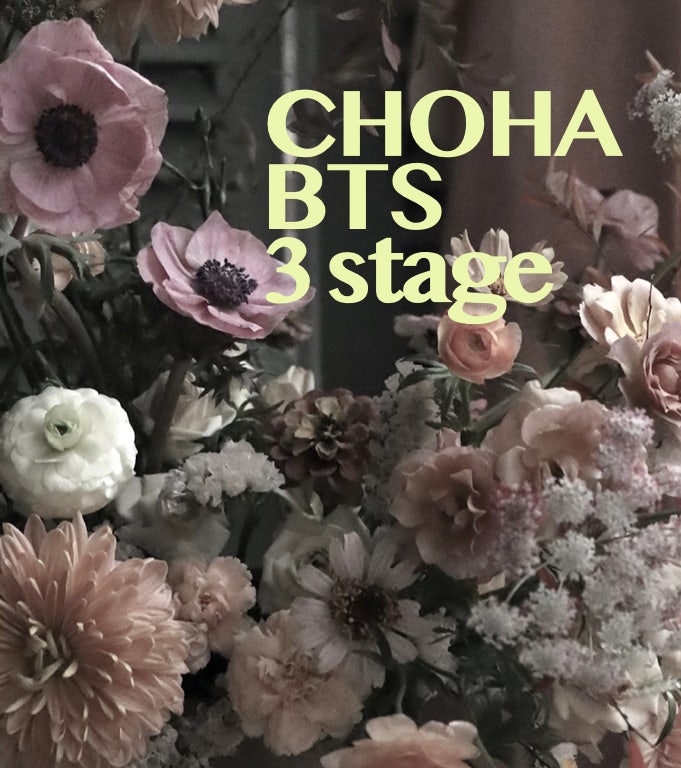 CHOHA BTS_stage 3 : 네이버 블로그