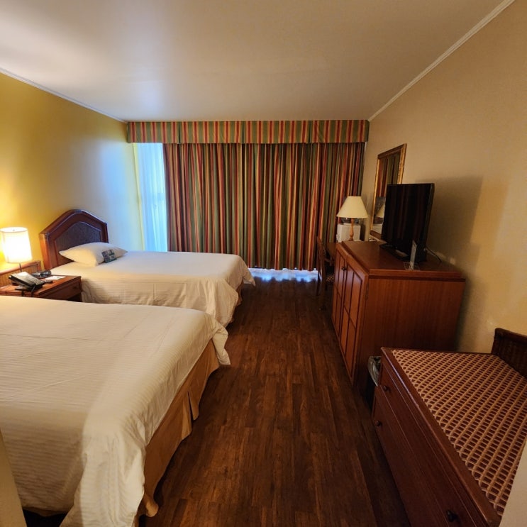 [태교여행] 괌 리프호텔 : 네이버 블로그