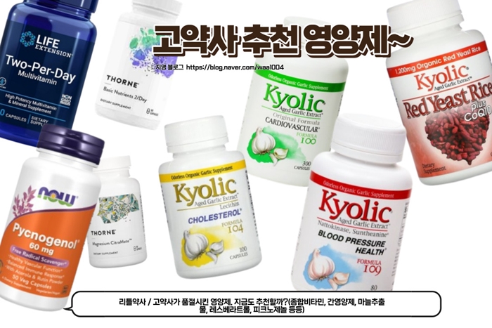 고약사 추천 영양제 정보~ 종합비타민 간영양제 마그네슘 고혈압 만성염증에 좋은 네이버 블로그