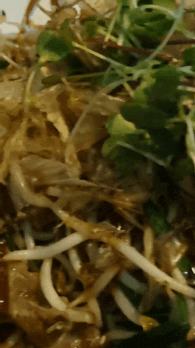 대흥동 룸술집 조용하게 즐길 수 있는 더룸 추천 : 네이버 블로그