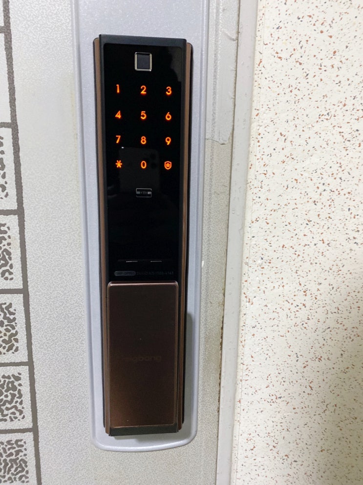 부산 삼성 푸시풀 도어락 SHP-DP951 지문 인식 도어락 추천 : 네이버 블로그