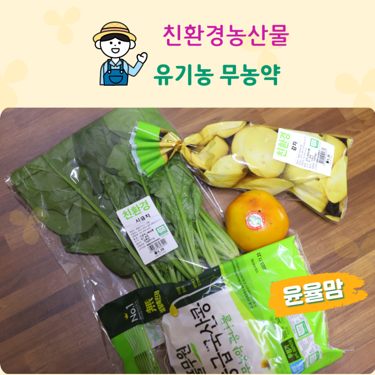 유기농 무농약 친환경농산물 우리아이 먹거리 준비해요 네이버 블로그