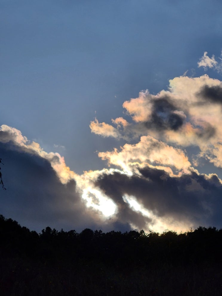 플라톤의 저서에서. 향연(Symposium)編 - 사랑의 종류, 巫女 디오티마(에로스의 출생 배경). 영혼의 진화와 사랑 ...
