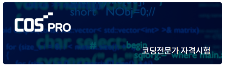 [COS Pro 파이썬] 2급 샘플 3 문제 풀이 : 네이버 블로그