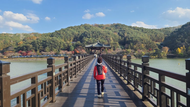 안동 안동댐 월영교 낙강물길공원 은행나무 안동댐석양 안동호전망카페 픽ffick 세계물포럼센터 안동옛모습 사진전 네이버 블로그