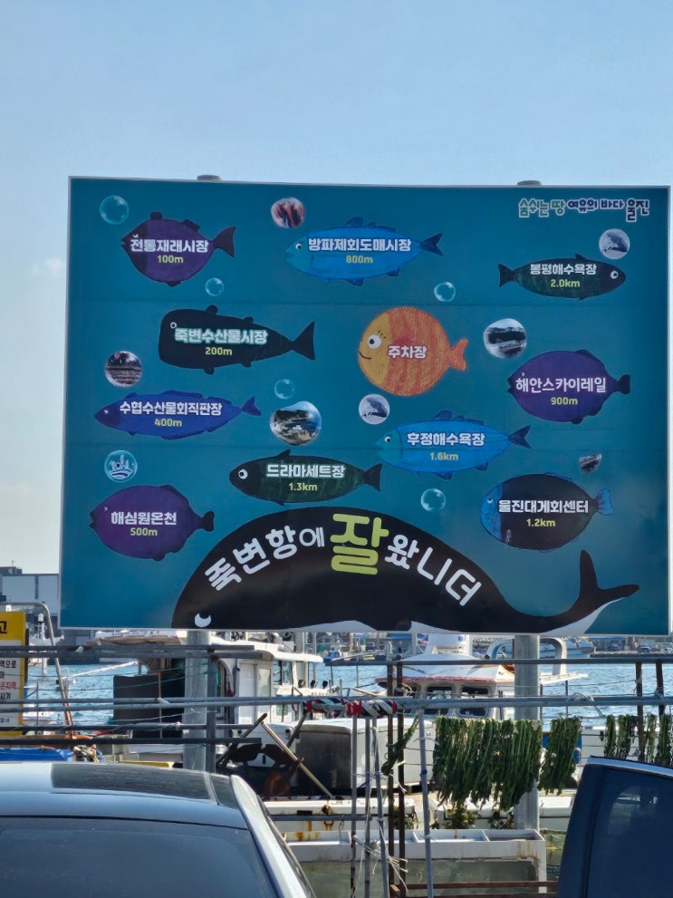 죽변우성식당곰치국물곰국 문어볶음 후식 울진대게빵 네이버 블로그