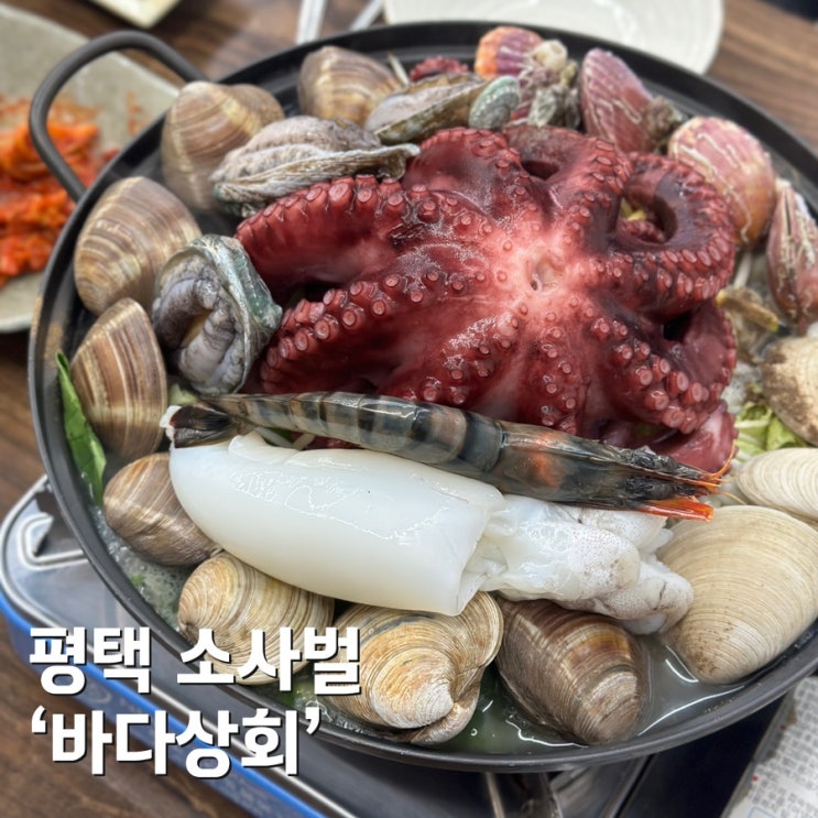 평택 소사벌 맛집 바다상회 평택점 황제 통문어 해물전골 회식장소 가족모임 비전동 맛집 네이버 블로그