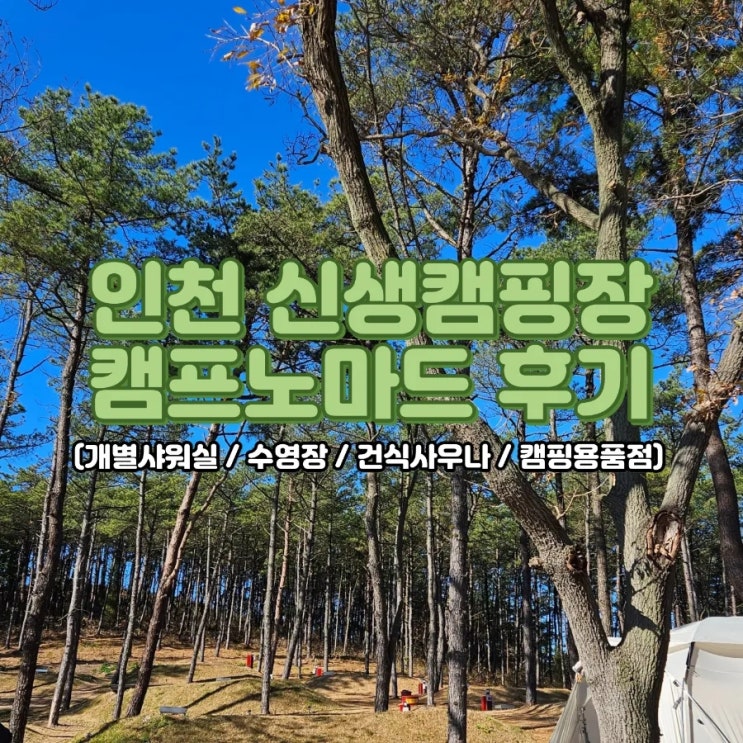 인천 영흥도 개별 샤워장과 수영장이 있는 신생 캠핑장 캠프노마드 방문 후기사이트 구역별 뷰 네이버 블로그