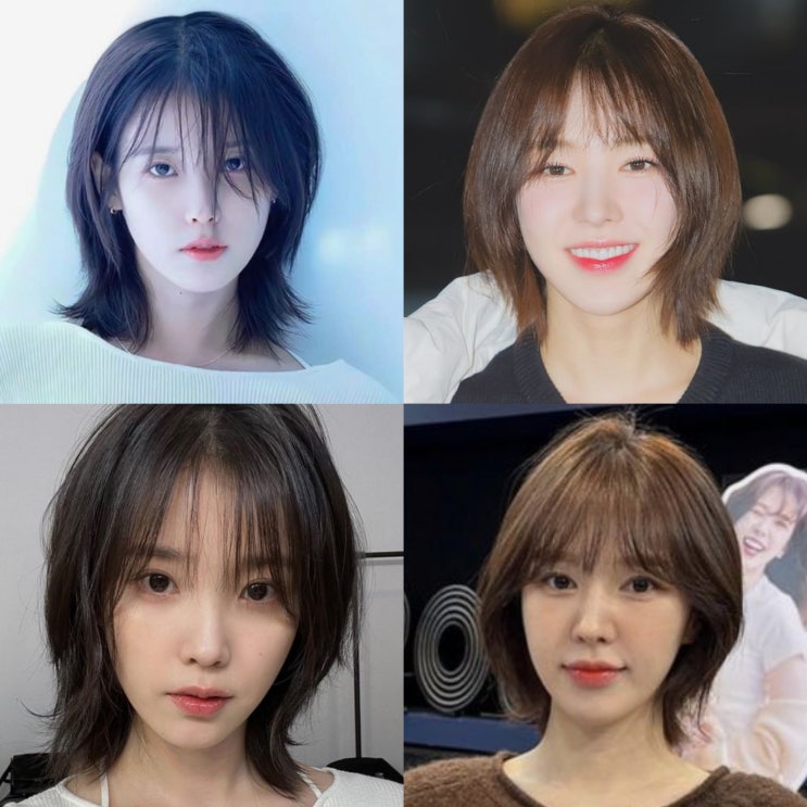 여자연예인 아이유 웬디 중단발 허쉬컷 레이어드컷 헤어스타일 관리법 이미지 : 네이버 블로그