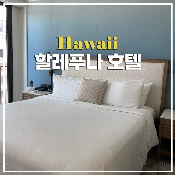 [하와이 와이키키 숙소 추천] 할레푸나 Halepuna 후기 : 룸 컨디션, 야외 수영장, 비치백 무료 대여 : 네이버 블로그