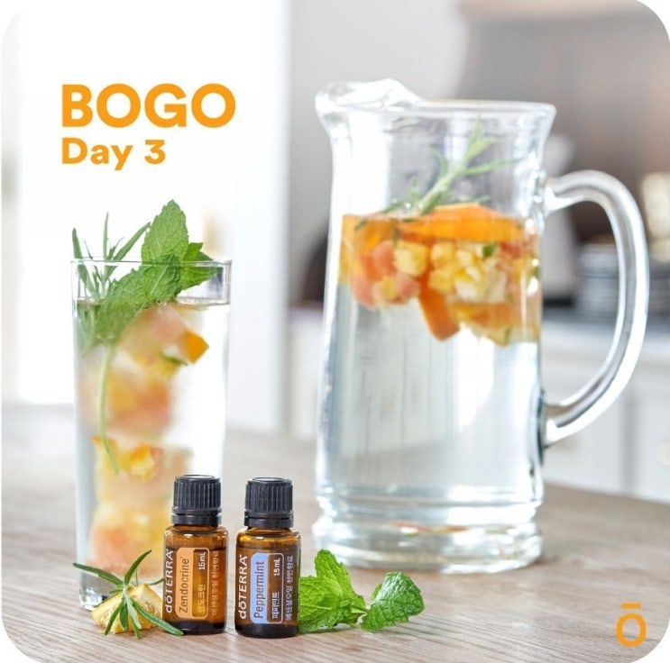 DAY 3 BOGO BOX : 네이버 블로그