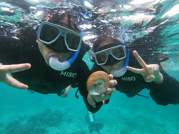 231118 필리핀 세부 3박5일 여행 2일차_ 세부 호핑투어, 스마일호핑, kkday 후기(예약누락) : 네이버 블로그