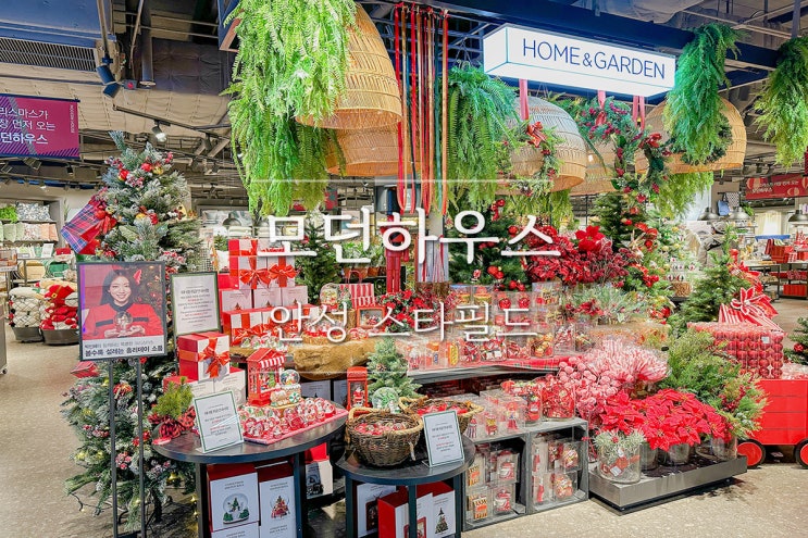 안성 스타필드 모던하우스 크리스마스 Md 소품 트리 식기 구경하기 네이버 블로그