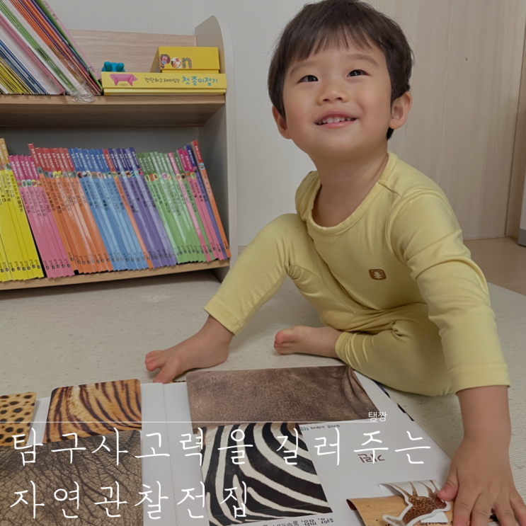 탐구사고력을 길러주는 블루래빗 자연관찰 전집 궁금하면 들춰봐누가 누구 네이버 블로그