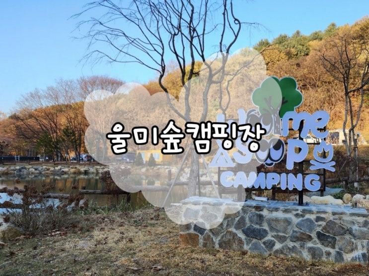 경기포천 모든것이 좋았다 포천 울미숲 오토캠핑장 벚나무존4 이용후기 명당사이트는 네이버 블로그