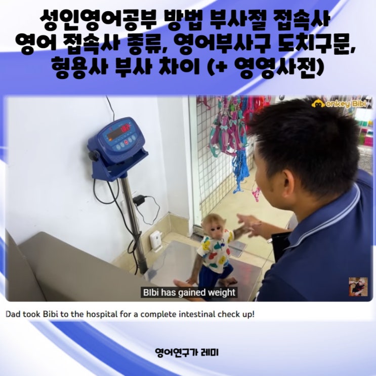 성인영어공부 방법 부사절 접속사 영어 접속사 종류 영어부사구 도치구문 형용사 부사 차이 영영사전 네이버 블로그