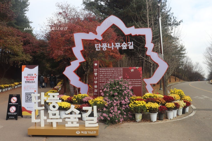천안 가볼만한곳 독립기념관 단풍나무숲길 병천순대거리 아우내장터독립만세기념공원 아산 곡교천 은행나무길 현충사 네이버 블로그