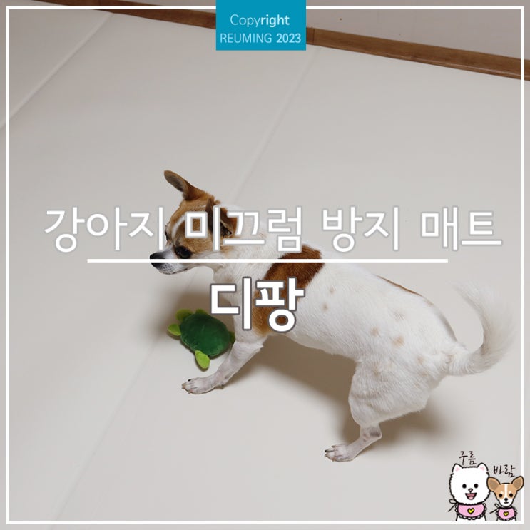 강아지 미끄럼 방지 매트 관절염 관리 위해 선택한 디팡이지매트 네이버 블로그