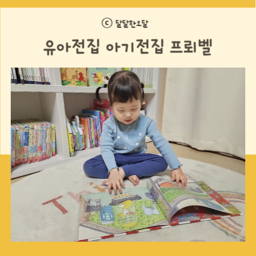 유아전집 아기전집 추천 프뢰벨 토탈 플래티넘 책육아 네이버 블로그