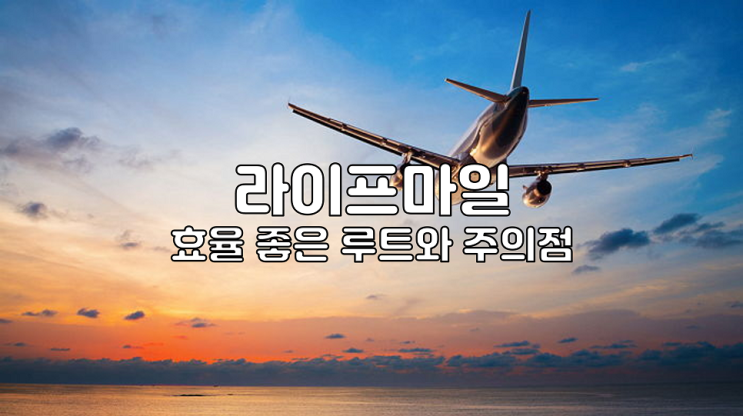 라이프마일로 스타얼라이언스 마일리지 예약 효율 좋은 발권 루트와 팁 항공사별 주의사항 네이버 블로그