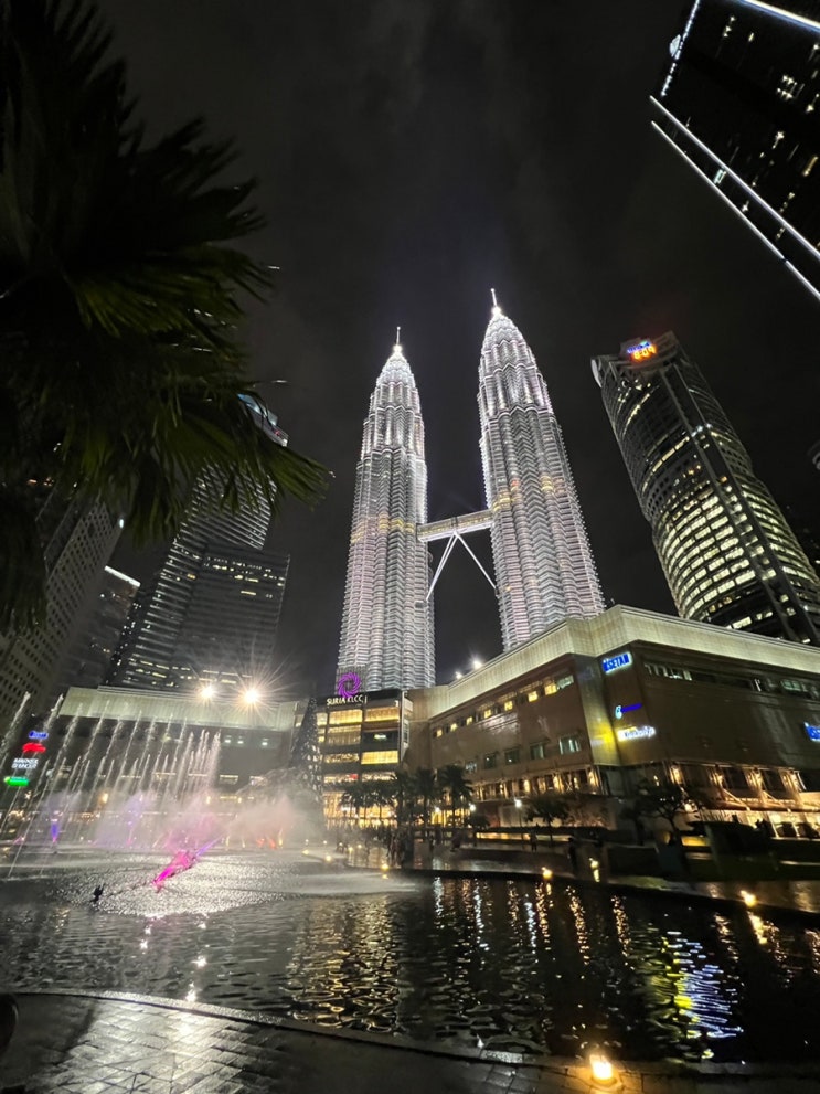 🇲🇾 여행기록 | 말레이시아 ep1 KLCC 트윈타워, 쿠알라룸푸르, 공항유심(Digi), KL 센트럴, 두리안, 베트남 콩커피 ...