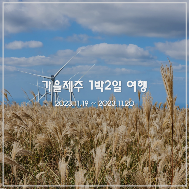 [제주] 가을 제주, 제주도를 1박2일로 제주를 가는 사람이 있다?! : 네이버 블로그