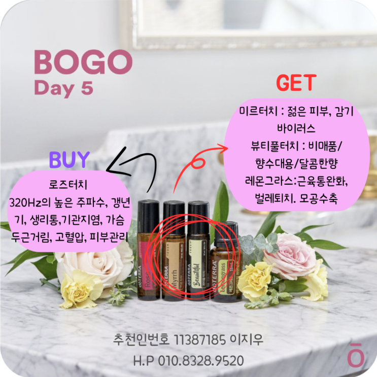 11월 도테라bogo 5일차 로즈터치buy 미르터치뷰티풀터치레몬그라스free 13 도테라 최고 프로모션 Bogo