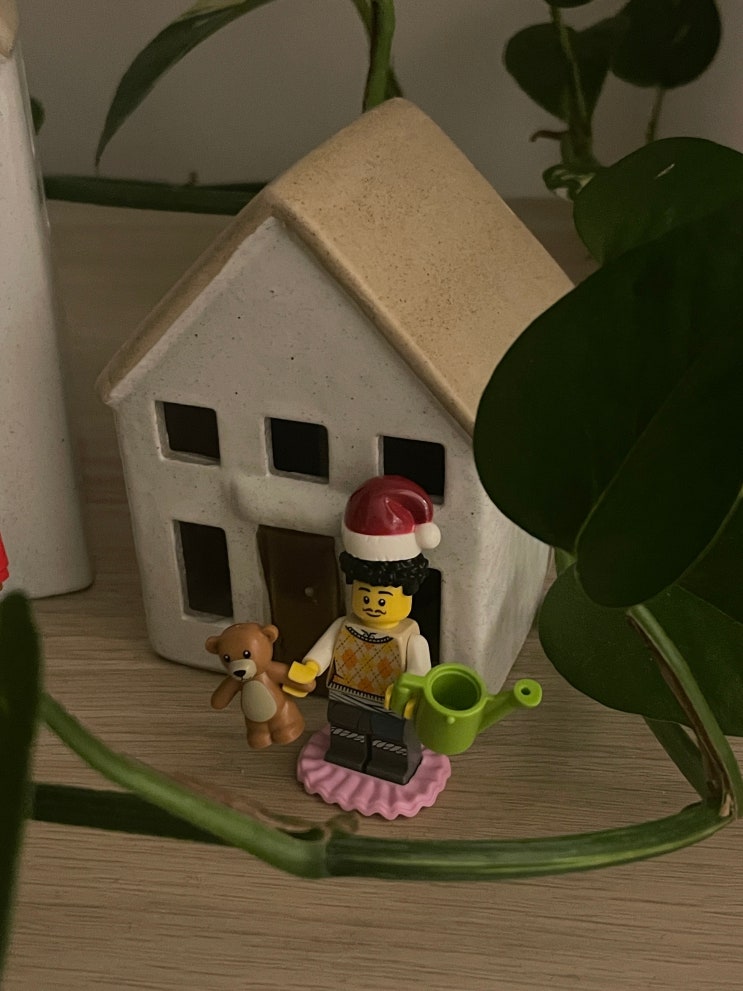 시드니체류기 - Lego Figures, HBD Julie at Olea Lindfield, 영주권닭갈비 Lidcome ...