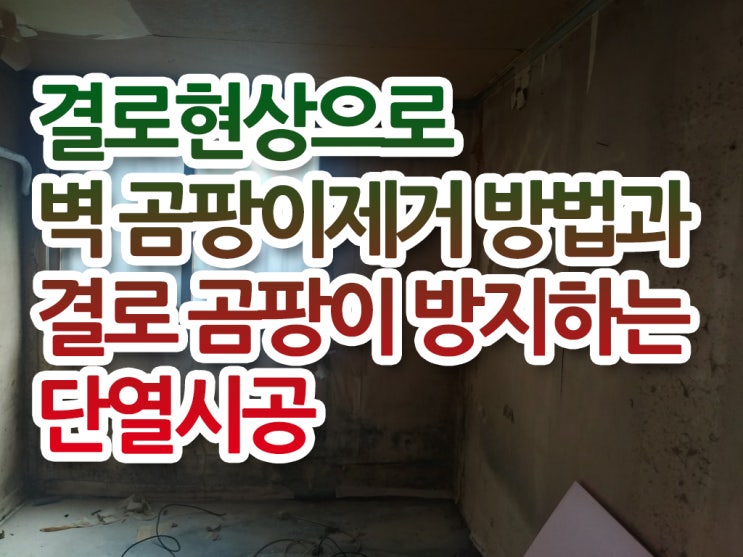 결로현상으로 생긴 벽 곰팡이 제거 방법과 결로 곰팡이 방지하는 단열시공 네이버 블로그