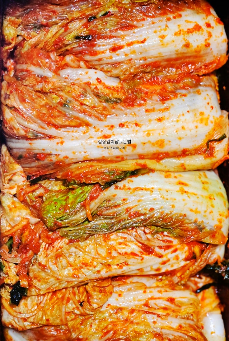 김장김치 양념 만들기 너무 맛있는 절임배추 20포기 40kg 김장배추김치 담그는법 담그기 김장김치육수 속재료 레시피 네이버 블로그