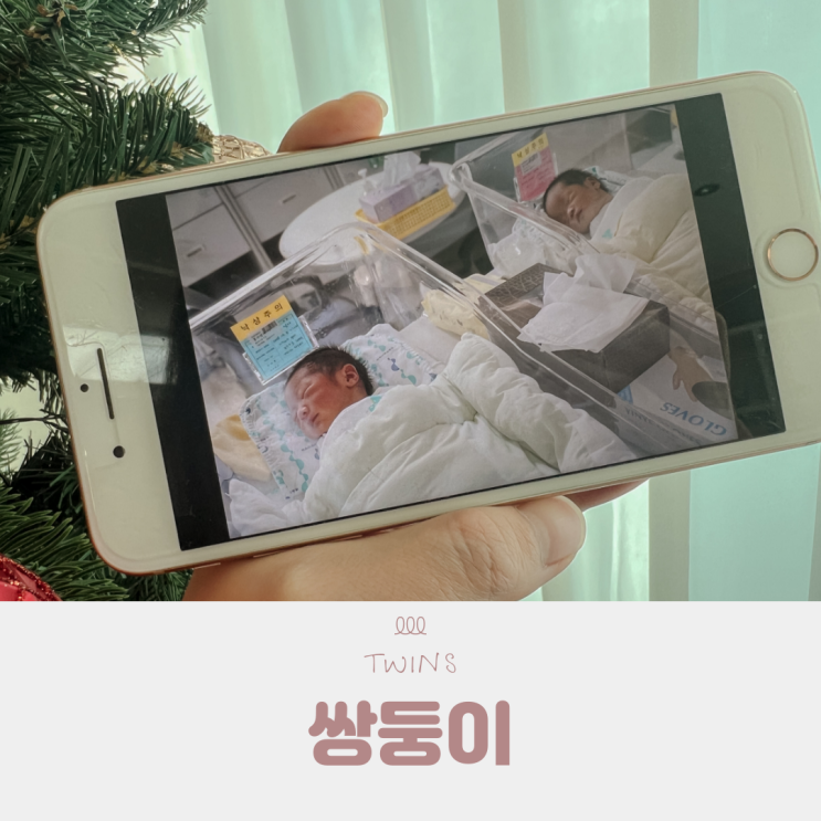 이란성 쌍둥이 쌍둥이 낳는법 제왕절개 후기 신생아 분유 추천 네이버 블로그