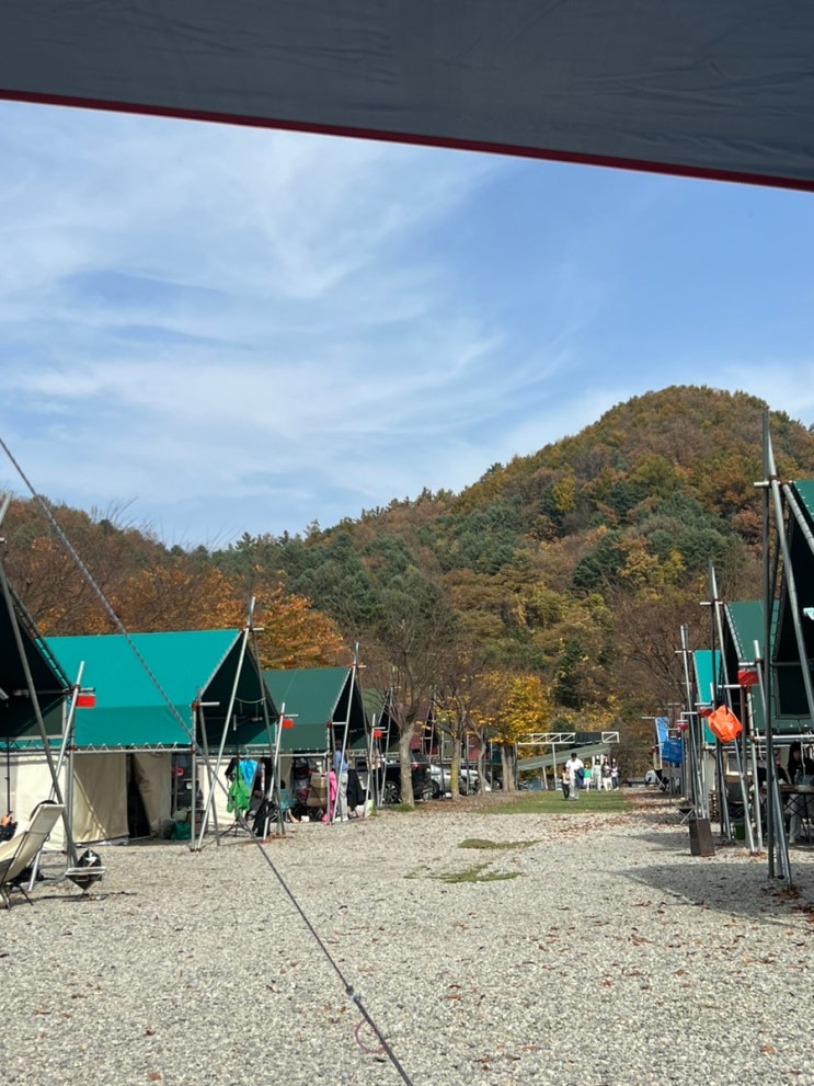 캠핑 서울 근교 아이와 가기 좋은 대회산 캠핑장 타프쉘존 에스원캠핑장feat 포천 허브아일랜드 네이버 블로그