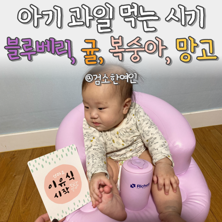 아기 과일 언제부터 아기 블루베리 귤 복숭아 망고 시기 주의사항 네이버 블로그