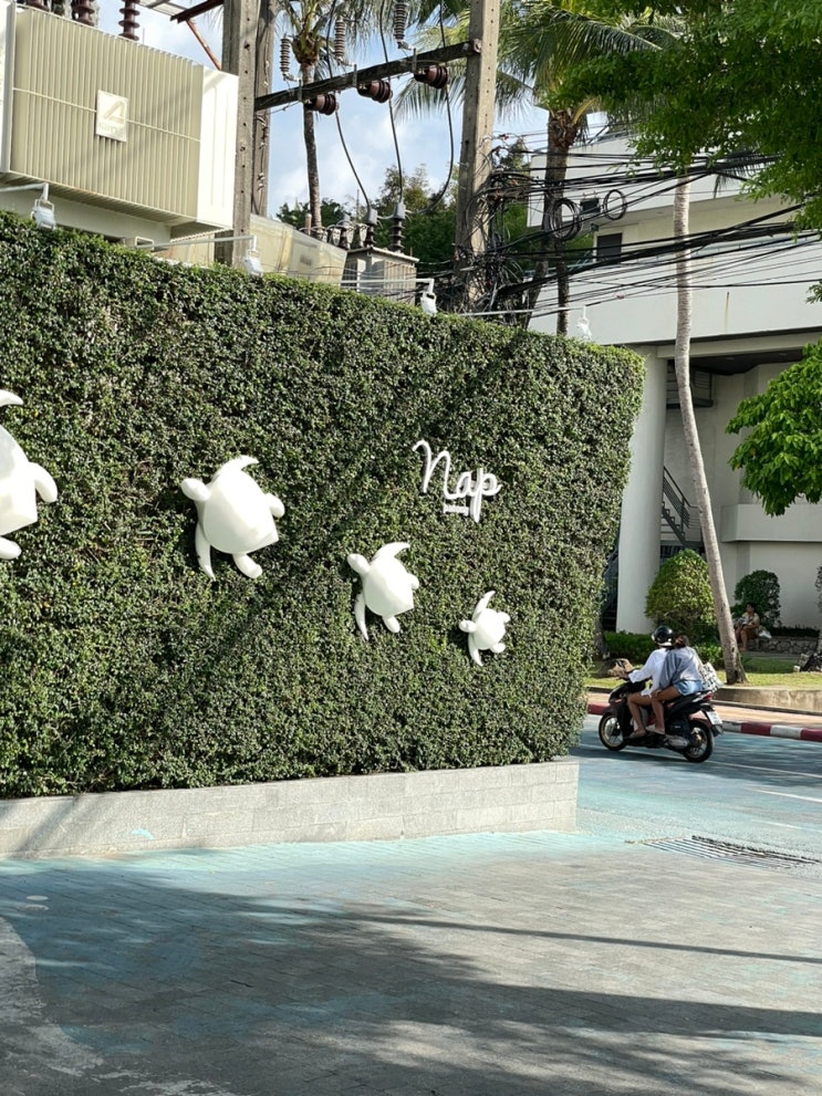 푸켓 빠통 가성비 호텔 냅빠통 데이드림룸 (조식, 수영장, 헬스장) : 네이버 블로그