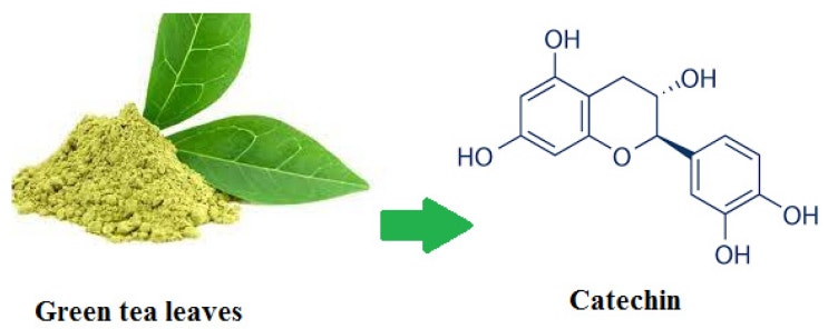 카테킨(Catechin) 효능과 부작용 : 네이버 블로그