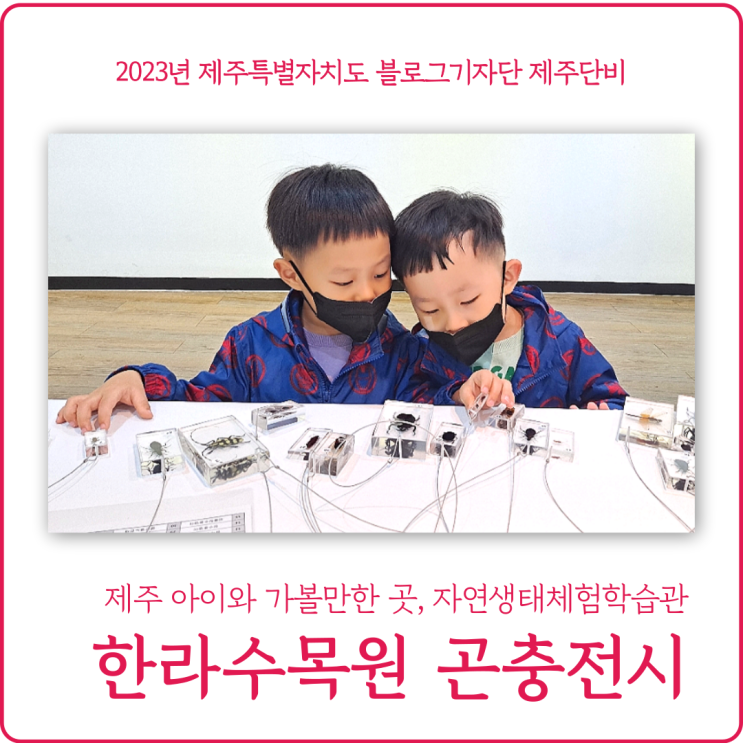 한라수목원 자연생태체험학습관 곤충전시 제주 아이와 가볼 만한 곳 네이버 블로그