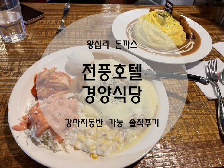 내돈내산 왕십리역 행당시장 돈까스 전풍호텔 경양식당 솔직후기 네이버 블로그