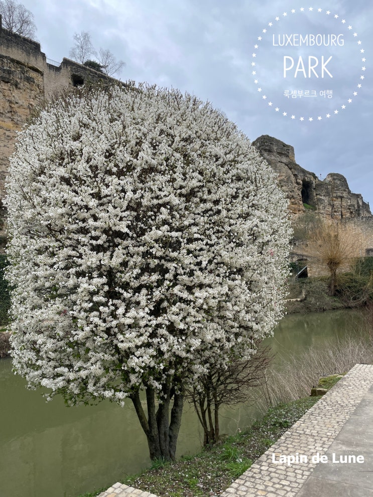 [Luxembourg] 룩셈부르크 여행, 동화 같은 룩셈부르크 데이트 코스. 인어 공주 Melusina statue, Pont ...