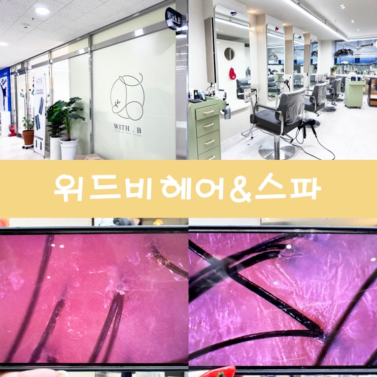 광주 각화동 미용실 위드비헤어앤스파 헤드스파 두피관리 솔직후기 네이버 블로그