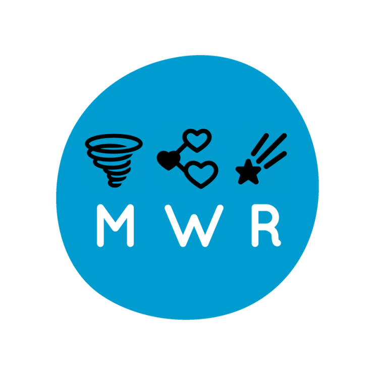 자기 계발 도구 MWR 5주 차 피드백 : 네이버 블로그