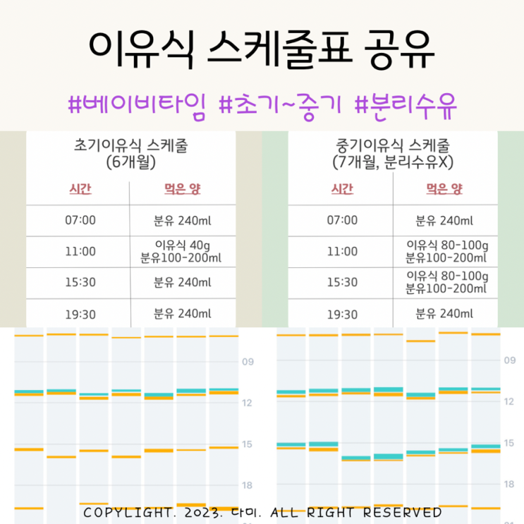 이유식 스케줄표 베이비타임 공유분리수유 초기~중기이유식 네이버 블로그