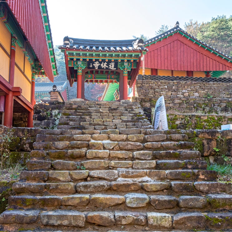 두 개의 보물을 간직한 천년고찰 곡성 도림사 그리고 아름다운 설경 네이버 블로그