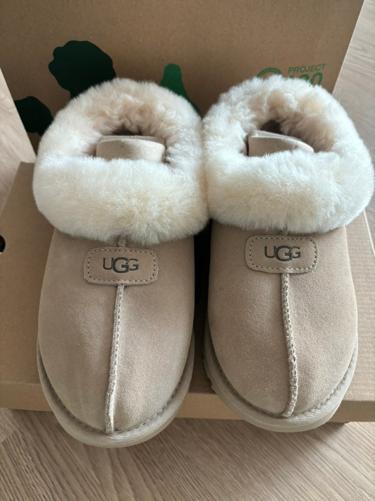 여자 겨울 신발 추천|ugg 어그 슬리퍼 타제트 샌드 색상 사이즈|대구 더 현대 2층 어그매장 내 돈 내산 후기 네이버 블로그