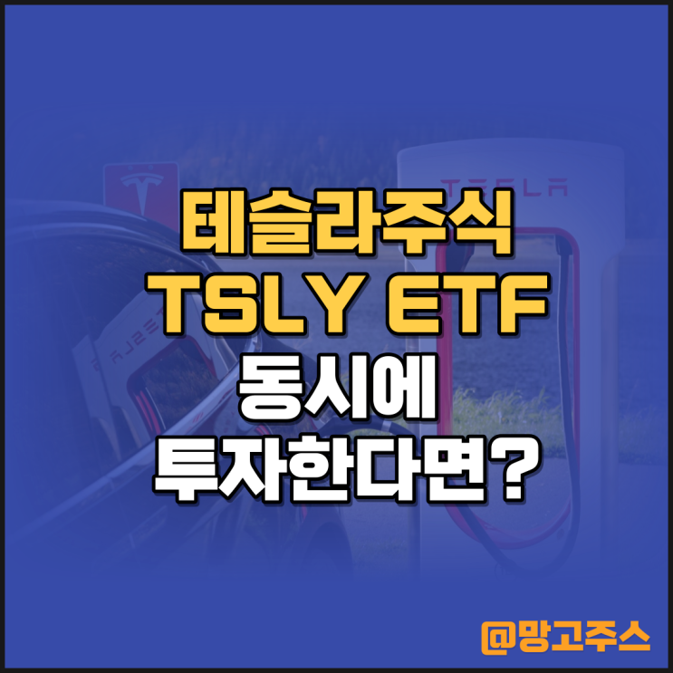 테슬라주식 TSLA와 TSLY를 동시에 투자한다면? : 네이버 블로그