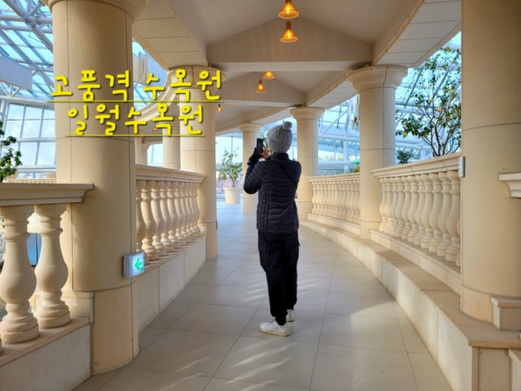 경기도 일월수목원 수원 수목원 투어로 가볼만한곳 일월저수지 일월수목원 주차장 입장료 네이버 블로그