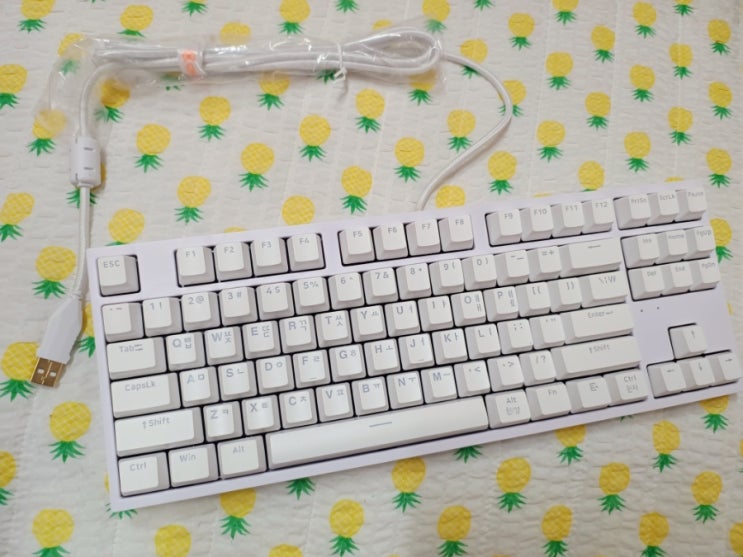 콕스 ck87 황축 기계식 키보드 리뷰, 네가 그렇게 가성비 깡패야? : 네이버 블로그