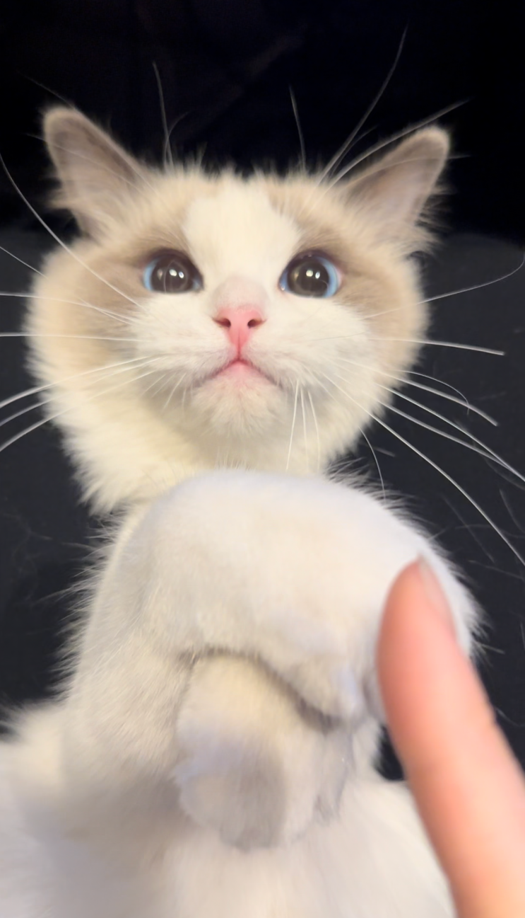 [KGYM 케이짐] 케이짐의 호떡 : 네이버 블로그